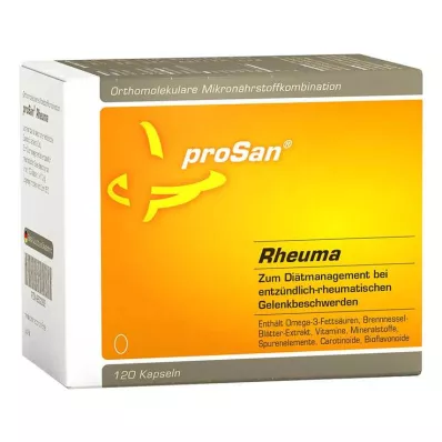 Delivery service from Germany - PROSAN Rheumatism capsules, 120 pcs